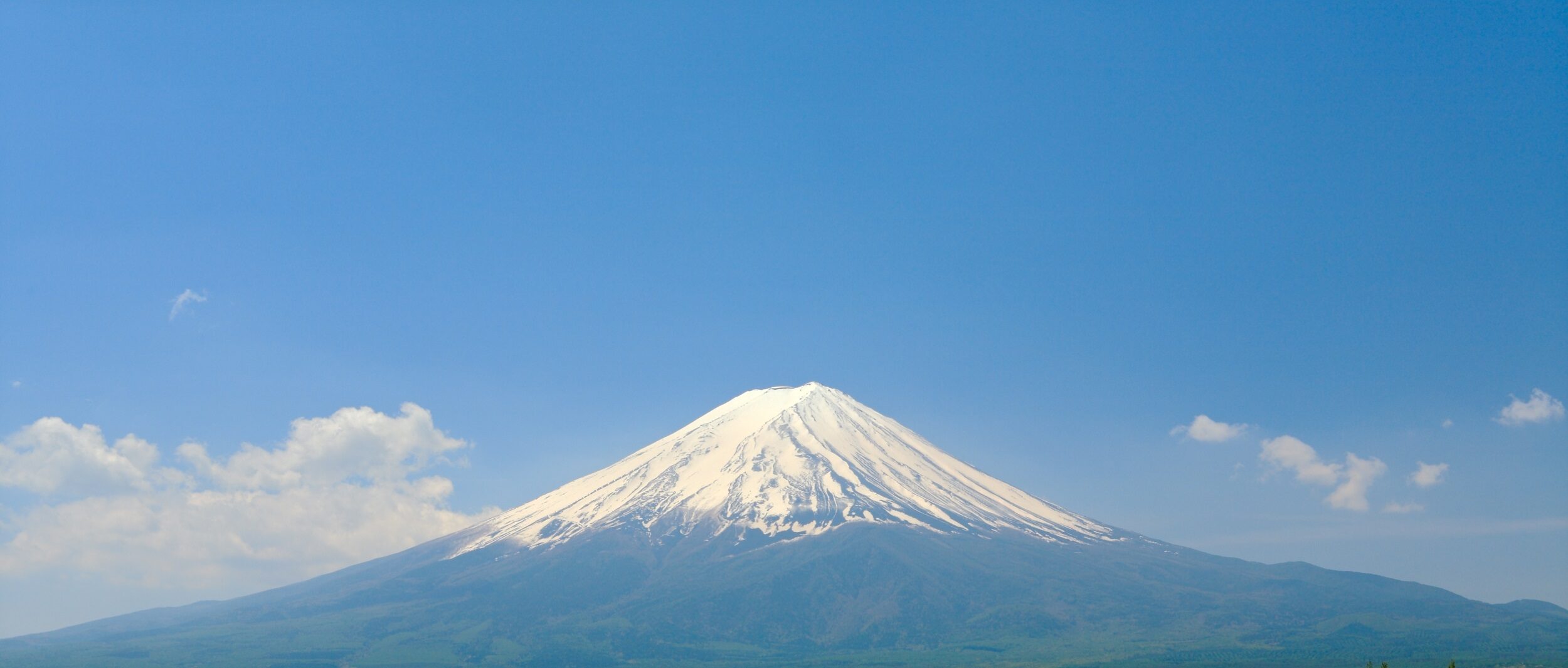 ホーム - 株式会社PABOLA